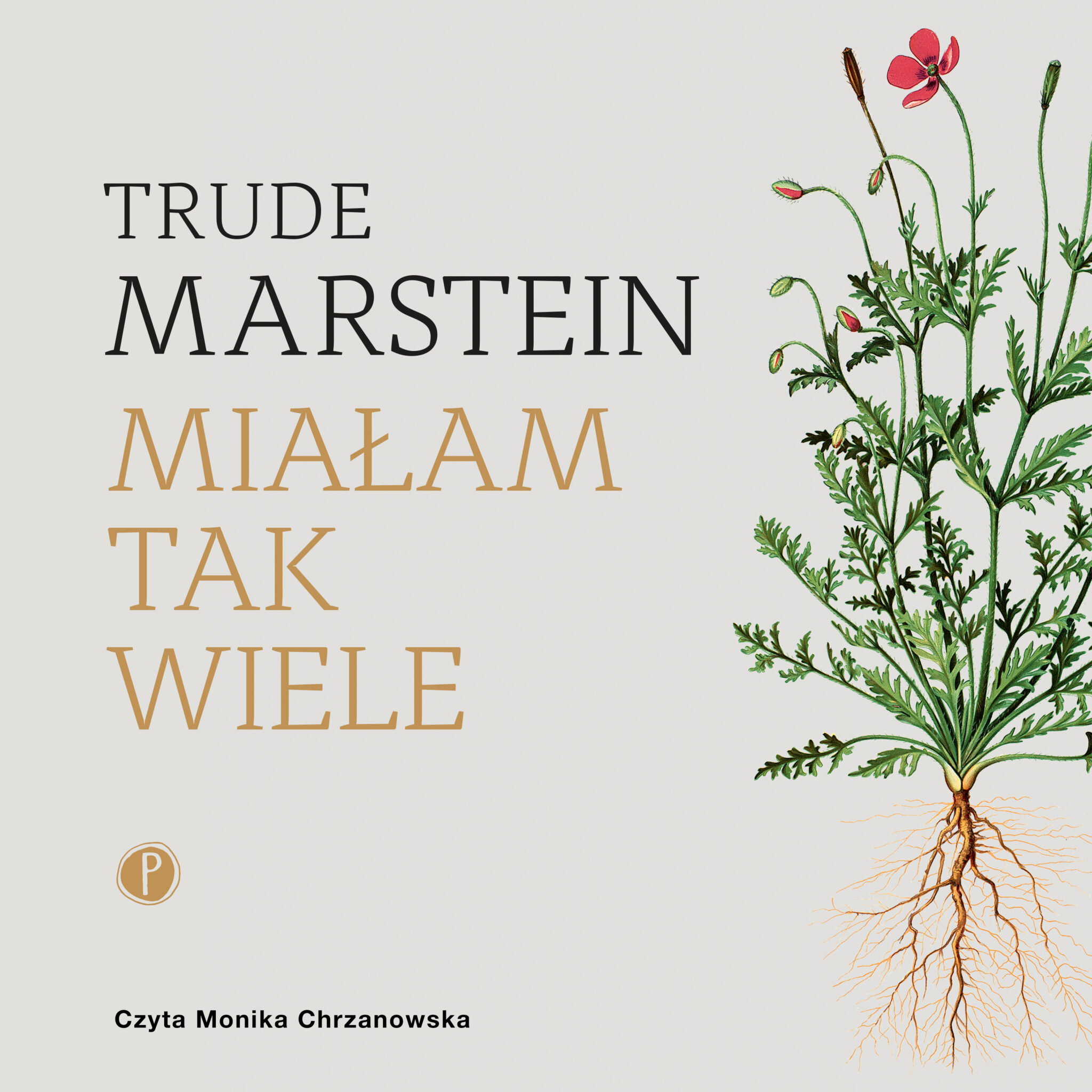 Miałam tak wiele (audiobook) Miałam tak wiele (audiobook)